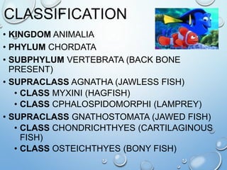 Fish Taxonomy & Charateristics | PPT