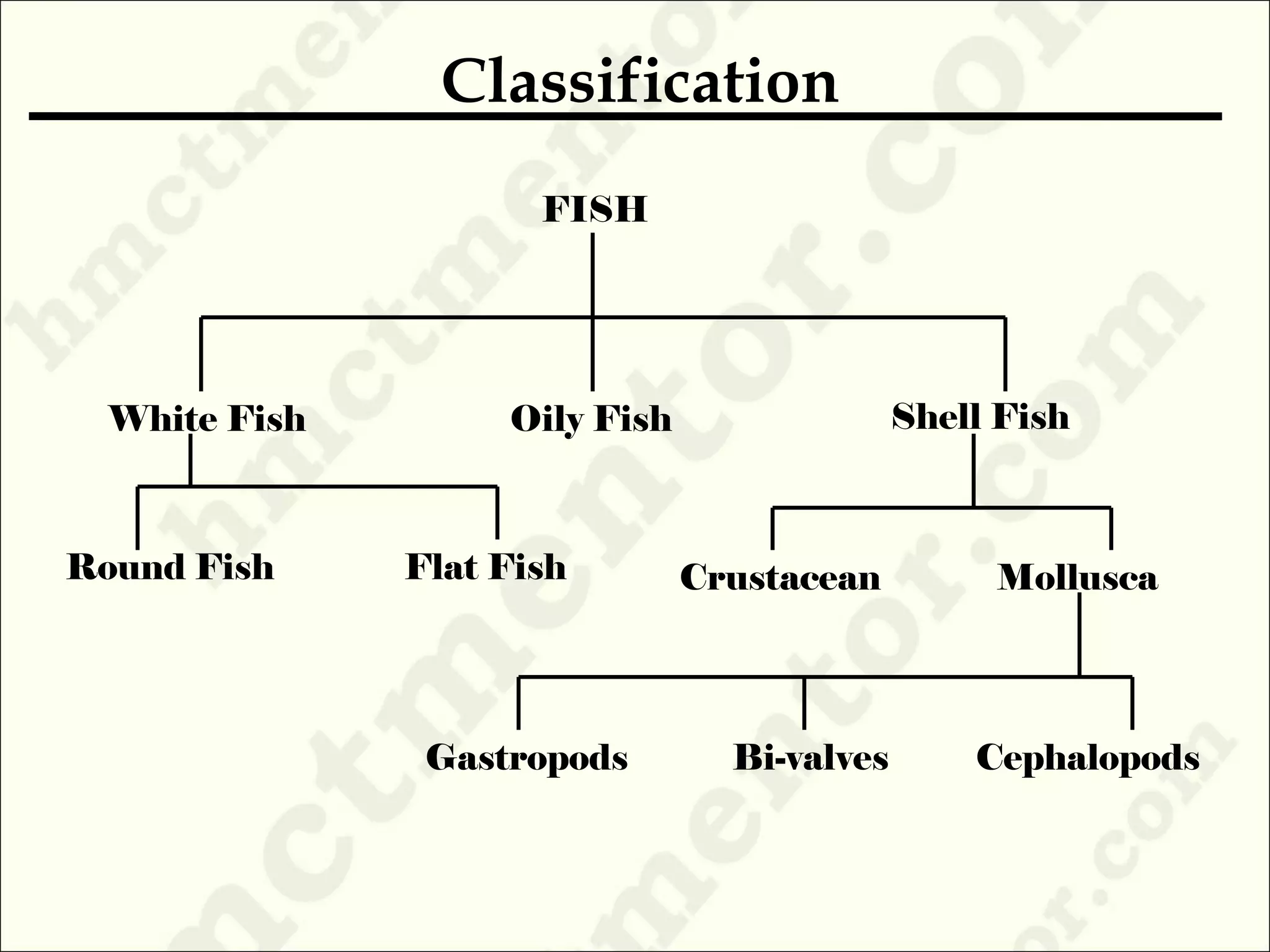 Fish | PPT