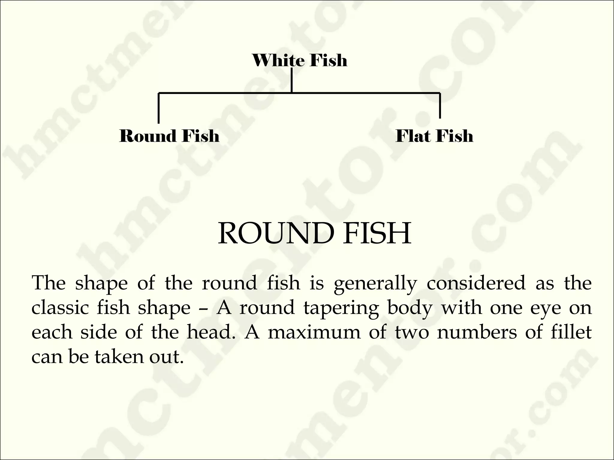 Fish | PPT