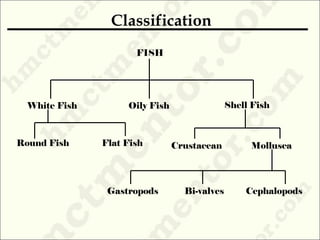Fish | PPT