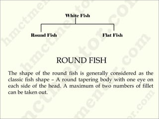 Fish | PPT