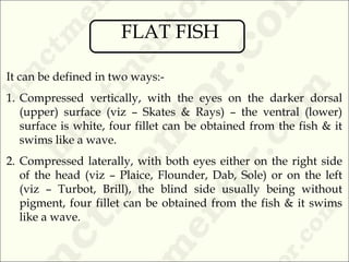 Fish | PPT