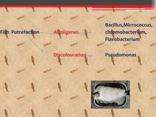 SPOILAGE OF FISH AND MEAT PRODUCTS BY MICROBES | PPTX | Chemistry | Science