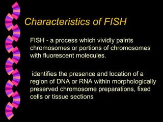 Fish | PPT