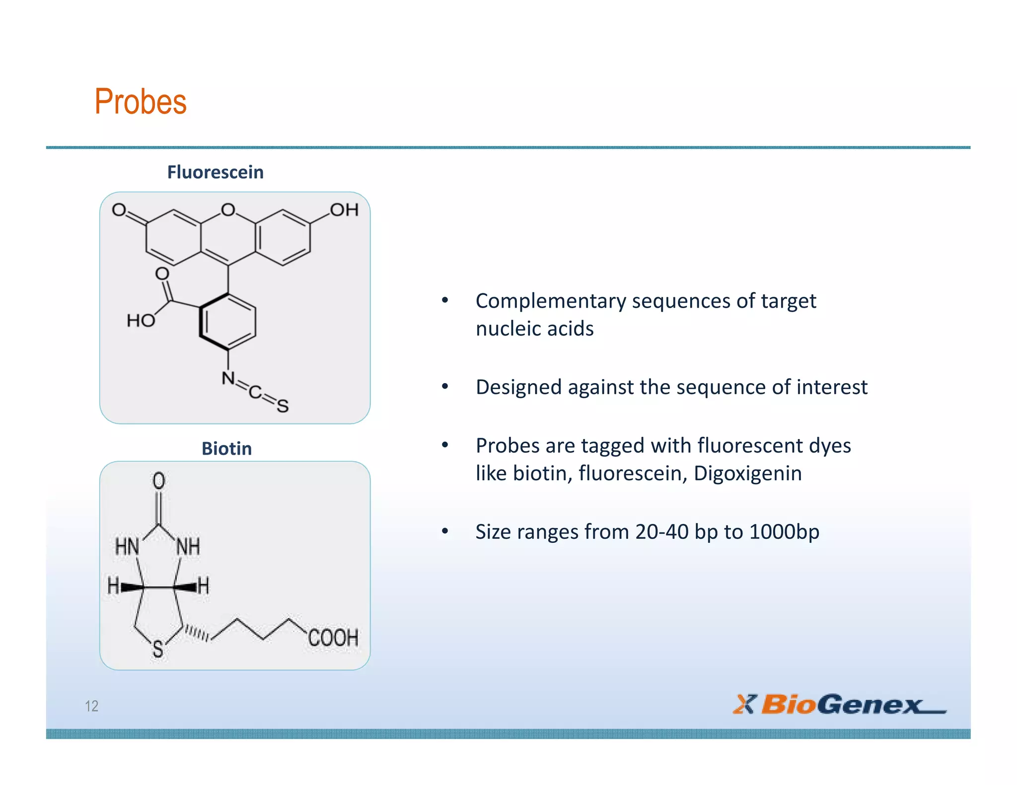 Fluorescent in-situ Hybridization (FISH) | PDF