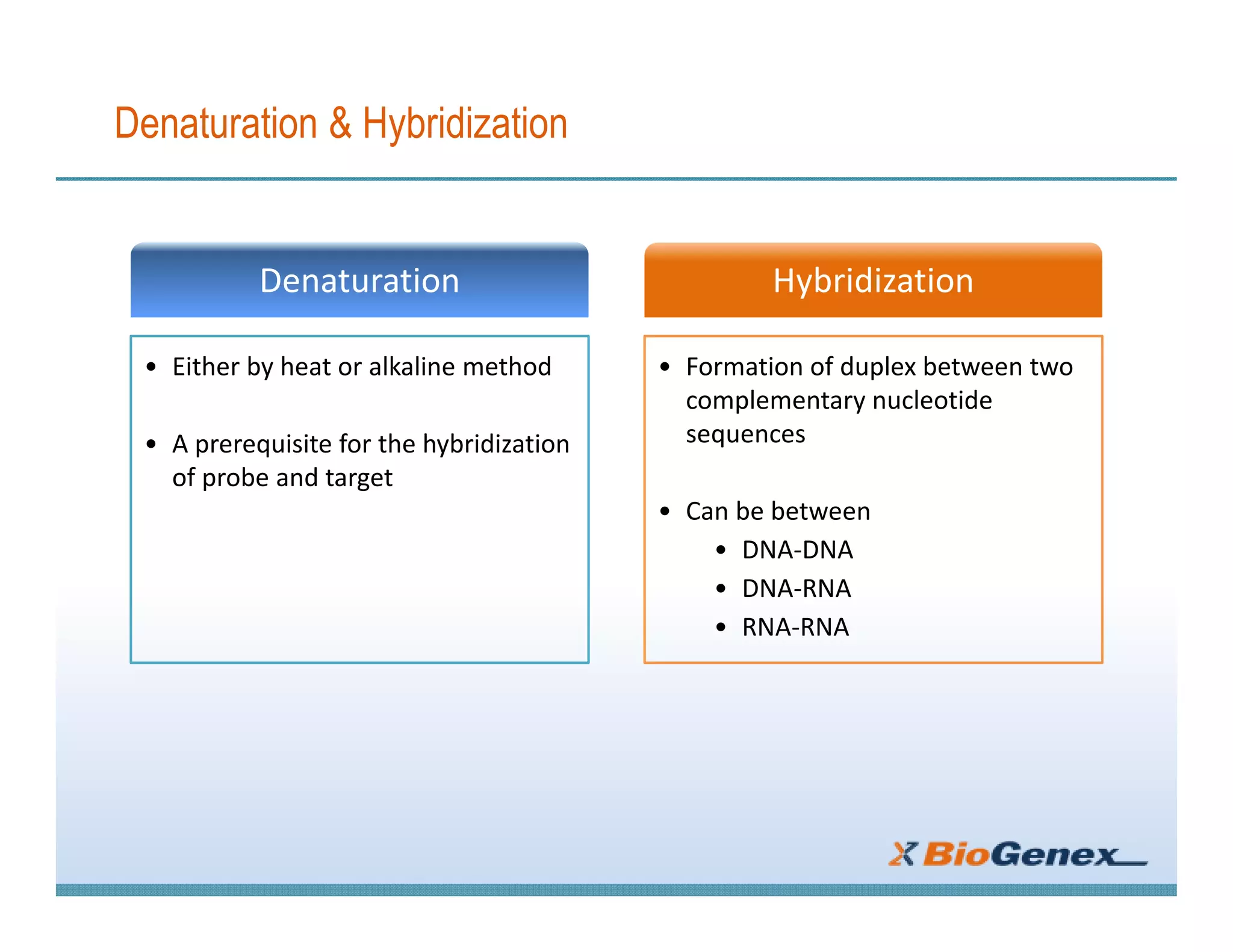 Fluorescent in-situ Hybridization (FISH) | PDF