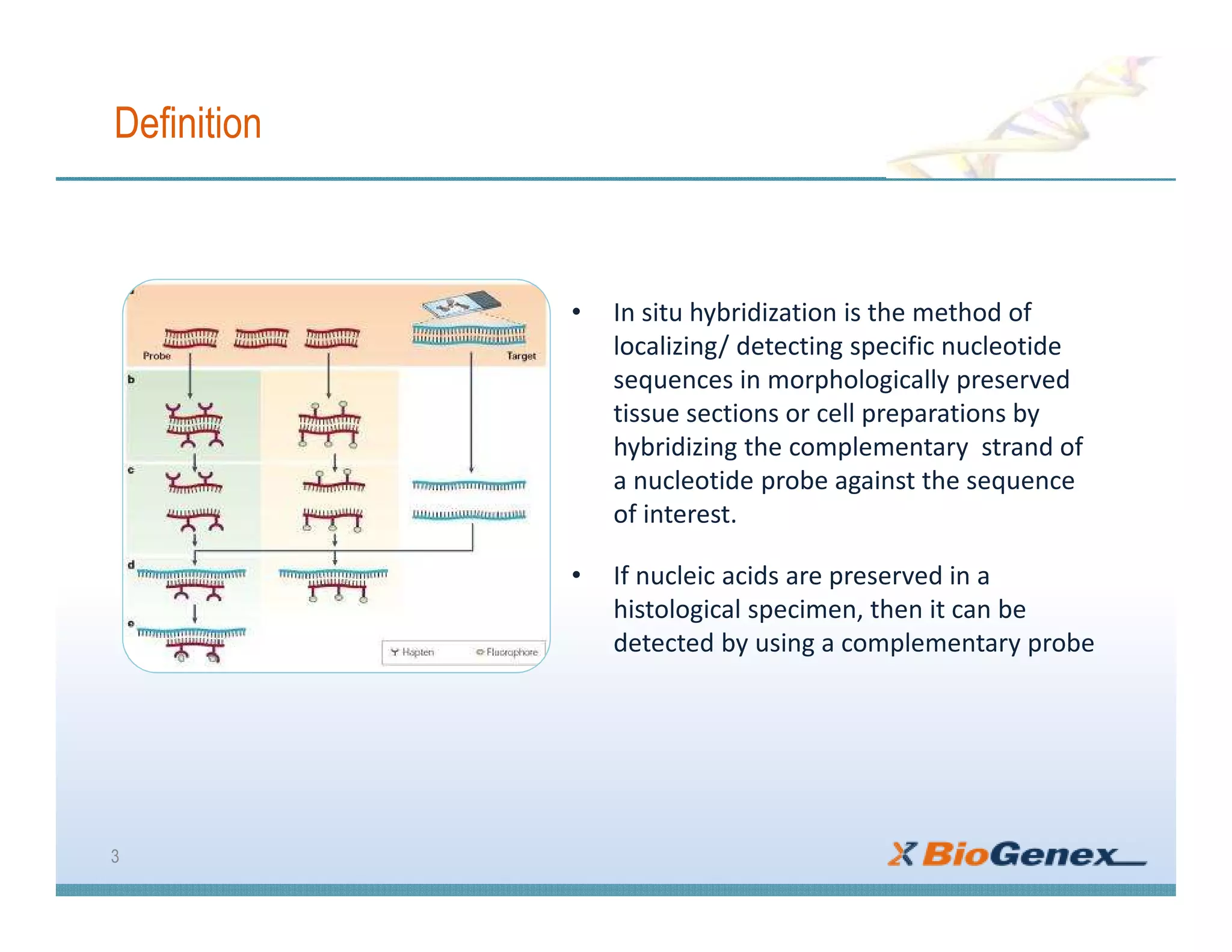 Fluorescent in-situ Hybridization (FISH) | PDF