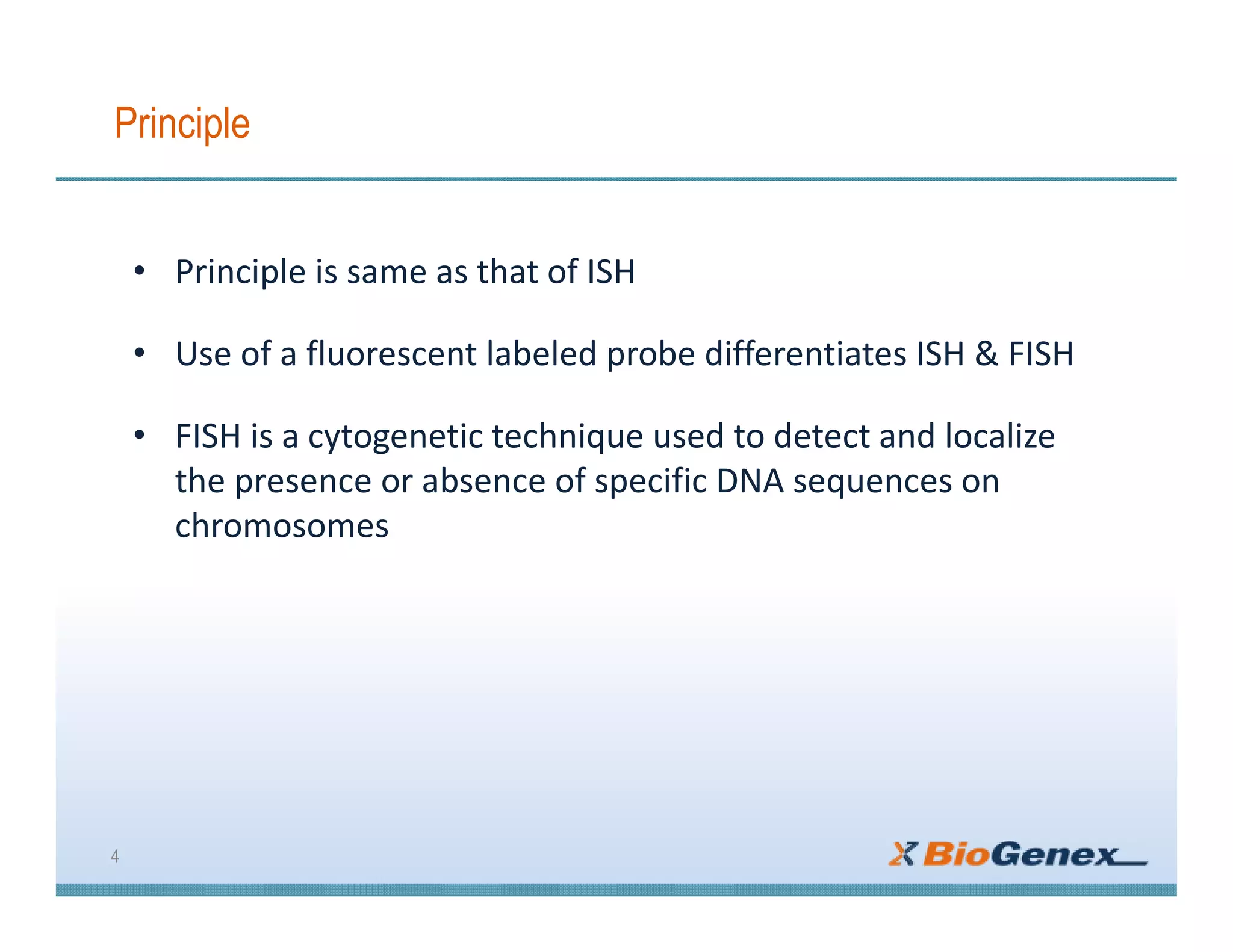 Fluorescent in-situ Hybridization (FISH) | PDF