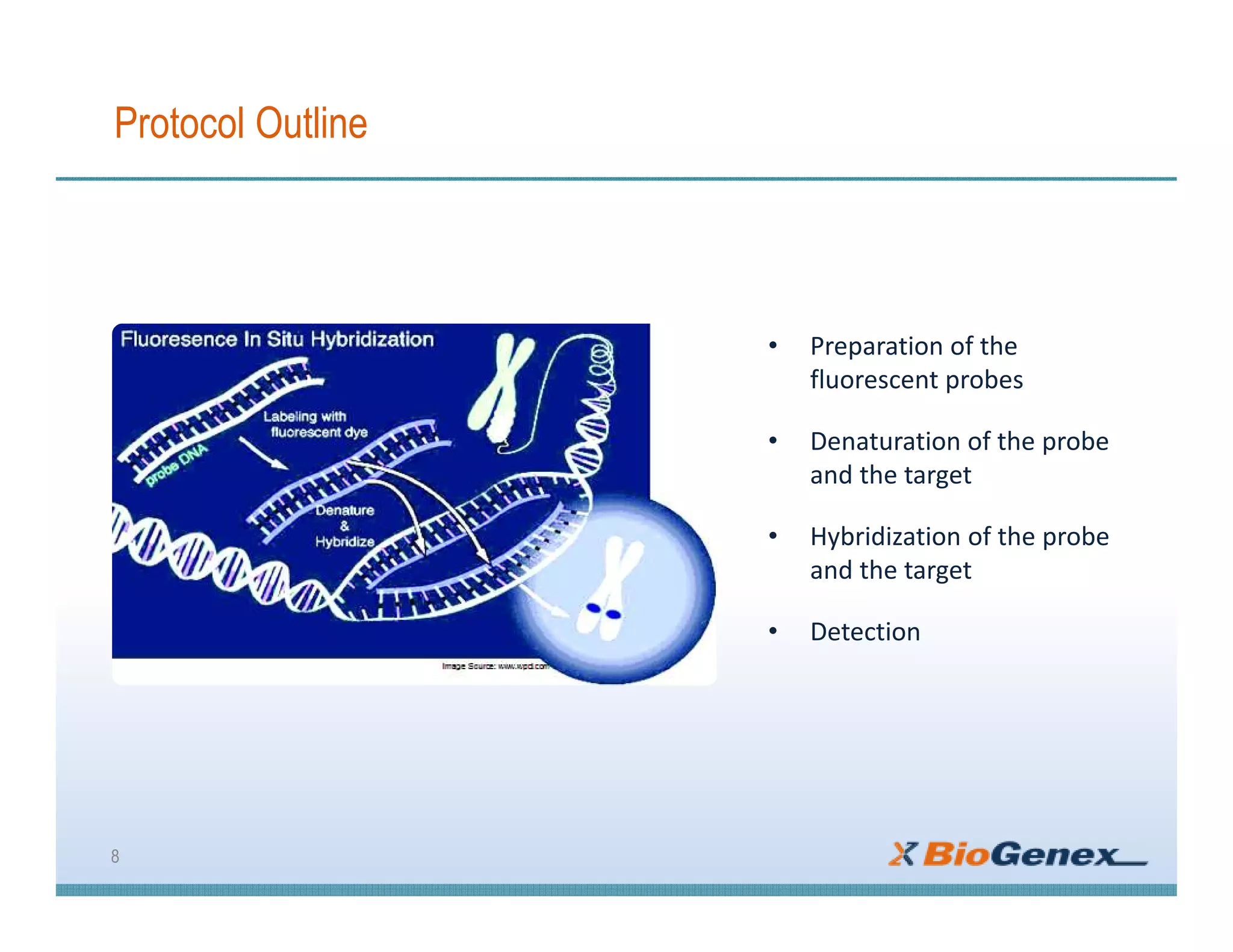 Fluorescent in-situ Hybridization (FISH) | PDF