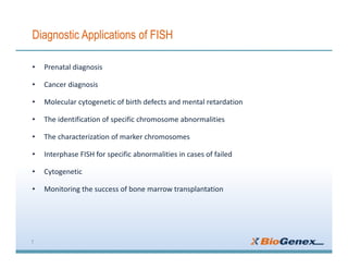 Fluorescent in-situ Hybridization (FISH) | PDF