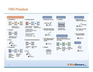 Fluorescent in-situ Hybridization (FISH) | PDF