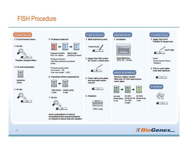 Fluorescent in-situ Hybridization (FISH)
