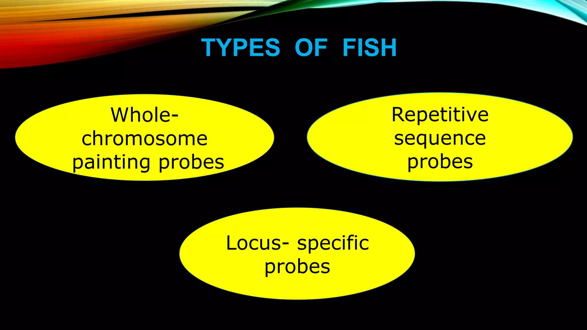 Fluorescence in situ hybridization (FISH) | PPTX