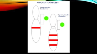 Fluorescence in situ hybridization (FISH) | PPTX