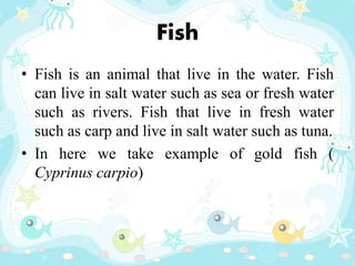 Fish and Phrases | PPT