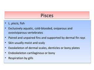 Fish | PPT
