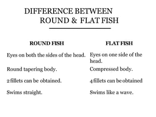 Fish-Cuts of fish | PPTX