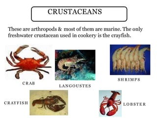 Fish-Cuts of fish | PPTX