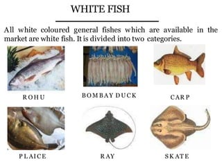 Fish-Cuts of fish | PPTX