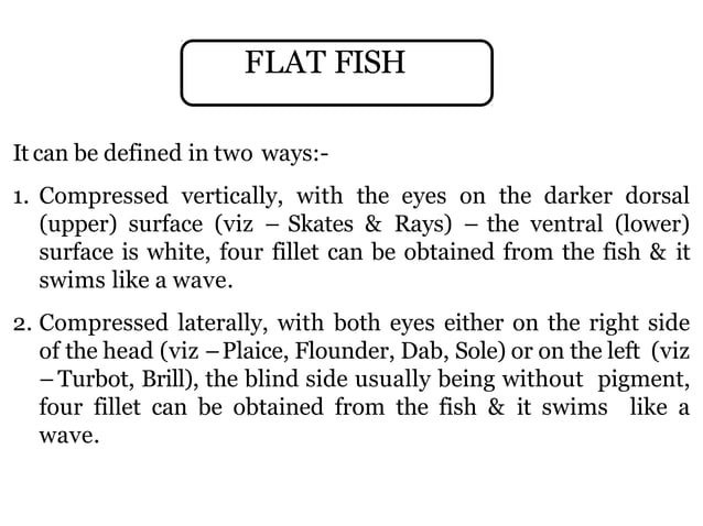 Fish-Cuts of fish | PPTX | Fish and Aquariums | Pets