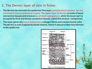 FISH Integuments and poisonous fish.pptx