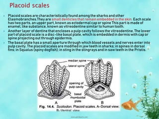 FISH Integuments and poisonous fish.pptx