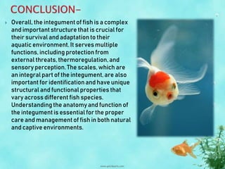 FISH Integuments and poisonous fish.pptx