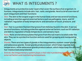 FISH Integuments and poisonous fish.pptx