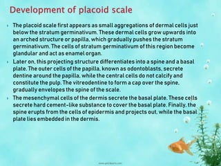 FISH Integuments and poisonous fish.pptx