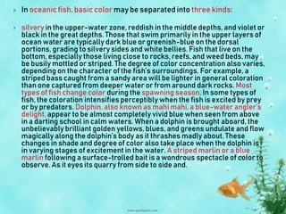 FISH Integuments and poisonous fish.pptx