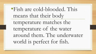 The life of a fish it is considered as animals.pptx