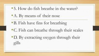 The life of a fish it is considered as animals.pptx