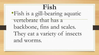 The life of a fish it is considered as animals.pptx