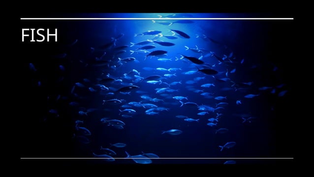 Fish for kindergarten kids Its motivational | PPT