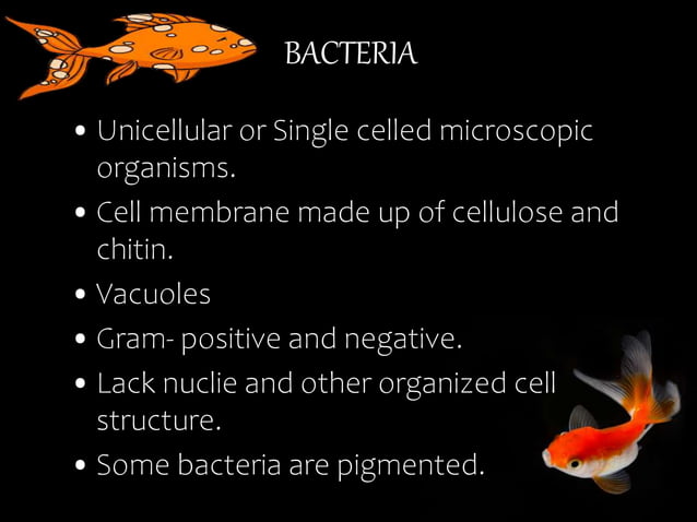fish-bacteria.pptx | Infectious Diseases | Diseases and Conditions