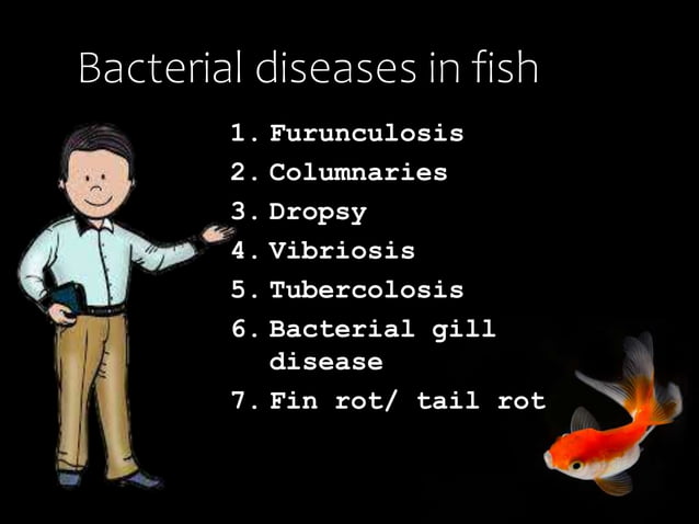 fish-bacteria.pptx | Infectious Diseases | Diseases and Conditions