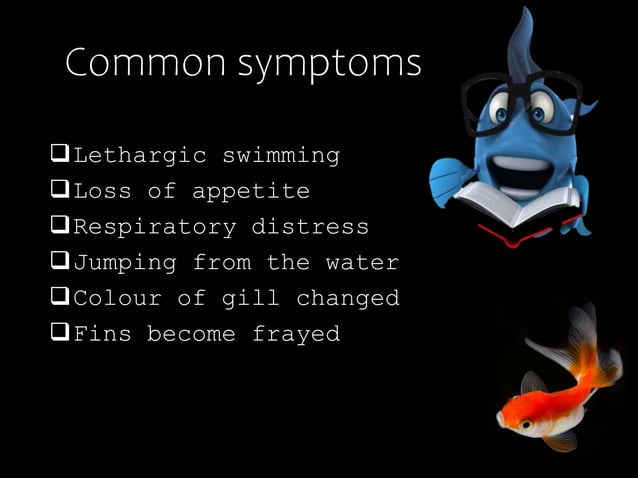 fish-bacteria.pptx | Infectious Diseases | Diseases and Conditions