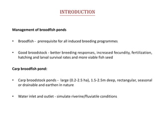 Fish-brood-stock-management, presentation. | PDF