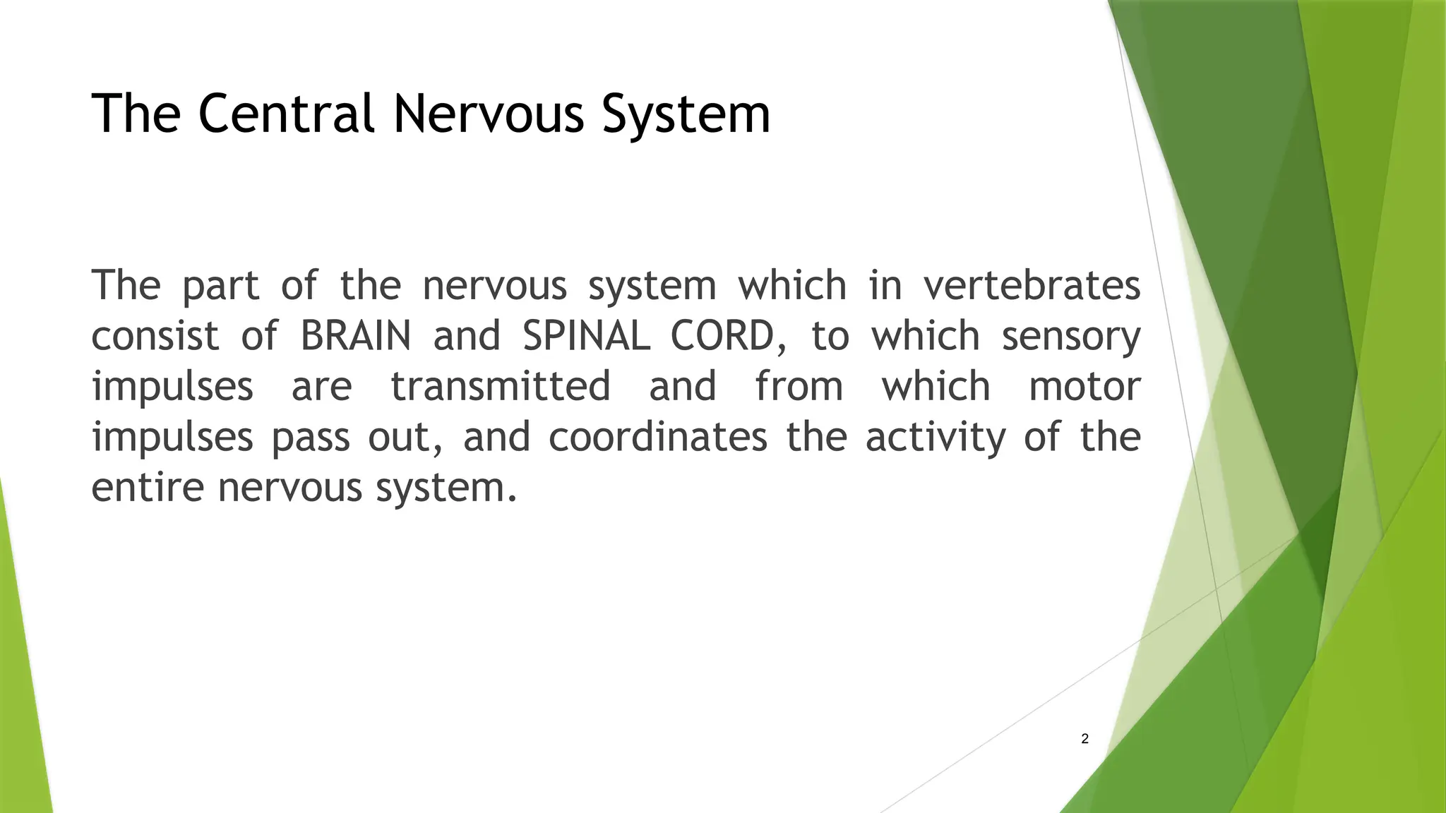 FISH-CENTRAL-NERVOUS-SYSTEM the part of nervous system which in ...