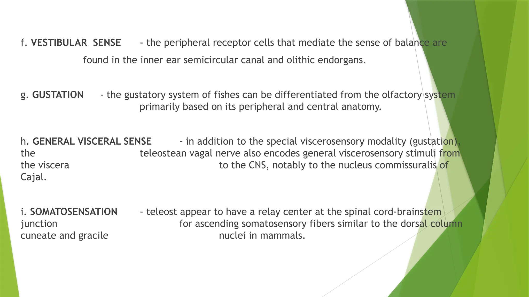 FISH-CENTRAL-NERVOUS-SYSTEM the part of nervous system which in ...