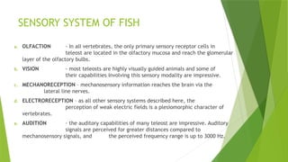 FISH-CENTRAL-NERVOUS-SYSTEM the part of nervous system which in ...