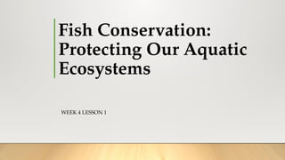 Fish-Conservation--Protecting-Our-Aquatic-Ecosystems.pptx
