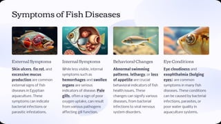 Fish Diseases in Egyptian Aquaculture Eng. Basel Ahmed | PDF