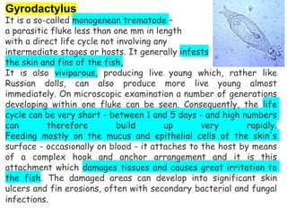 fish-diseases-(Protozoan & Ectoparasitic).pdf