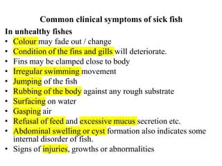 fish-diseases-(Protozoan & Ectoparasitic).pdf