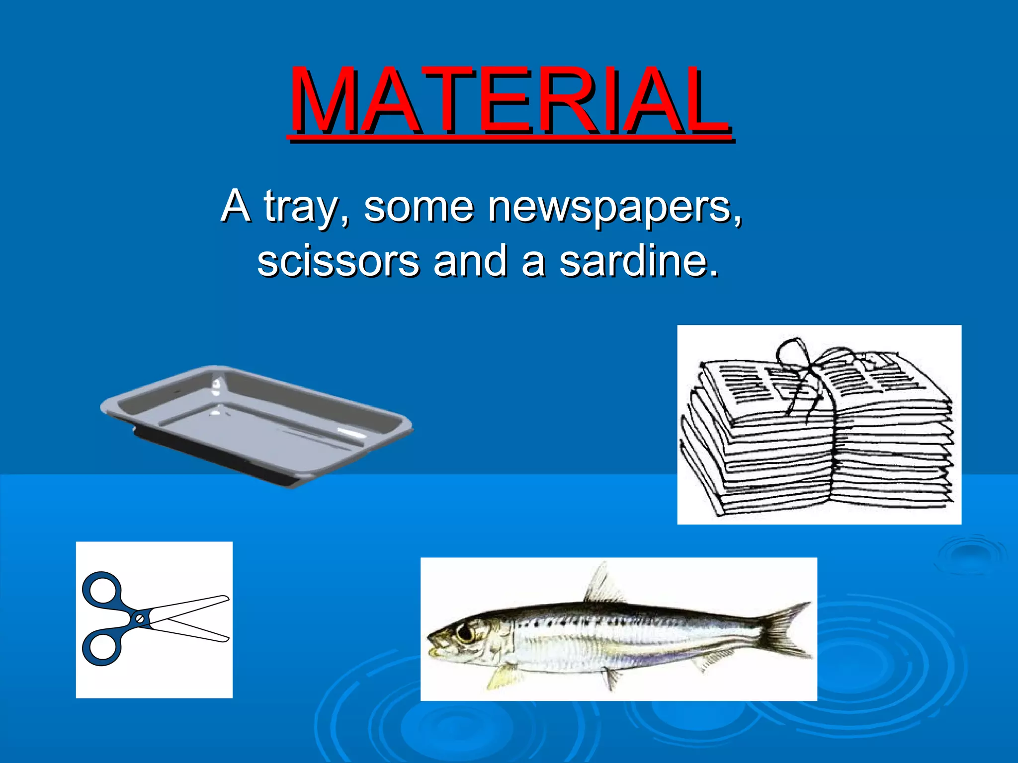 Sardine dissection | PPT