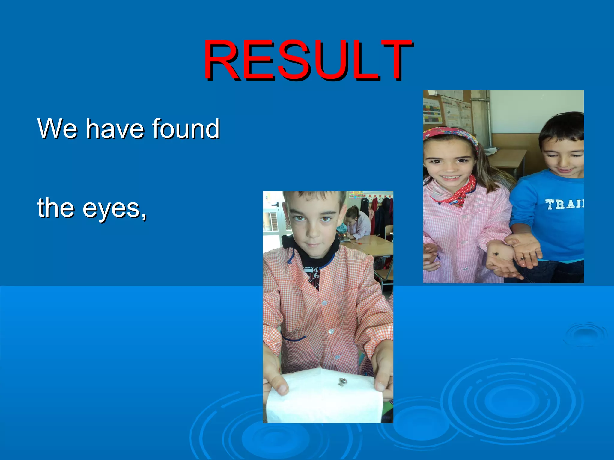 Sardine dissection | PPT