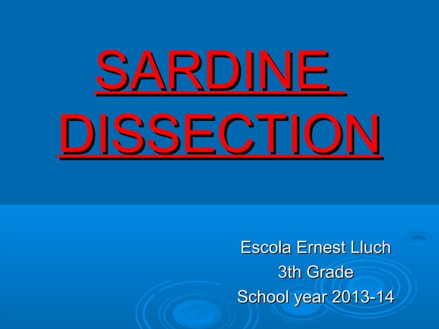 Sardine dissection | PPT