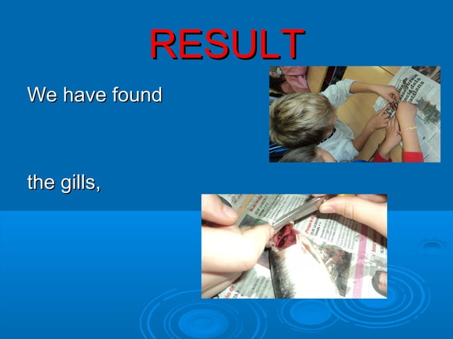 Sardine dissection | PPT