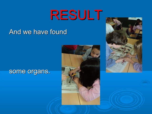 Sardine dissection | PPT